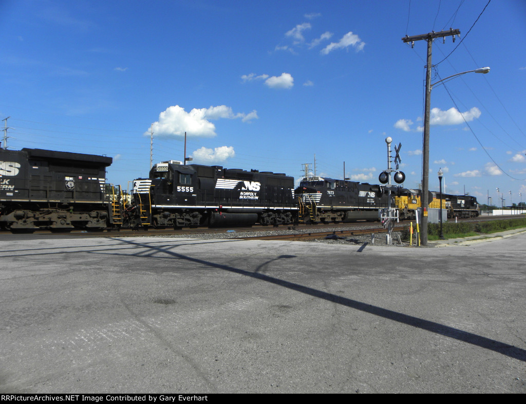 NS 8415, NS 6542, NS 7673, NS 5555, and NS 9768